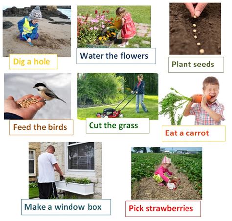 Resources Myclass Unit In The Garden REVISION