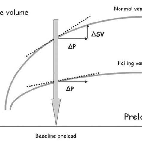 Schematic Representation Of The Ventricular Preload Stroke Volume Download Scientific Diagram