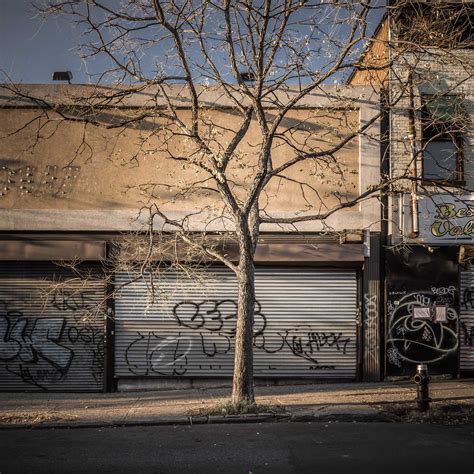 Eclectica A Selection Of Images By Morgan Silk — Morgan Silk