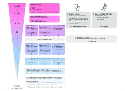 The Workflow Of The Whole Exome Sequencing Wes Data Processing