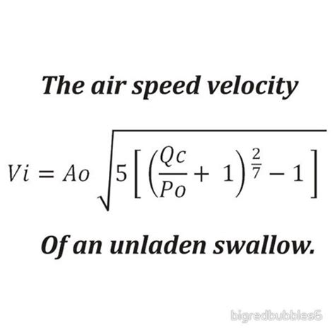 What Is The Airspeed Velocity Of An Unladen Swallow Physics Puns