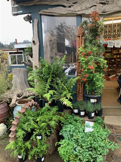 Nursery — California Native Landscapes