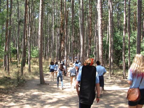 Class Rush Blfac By Wylderwolf On Deviantart