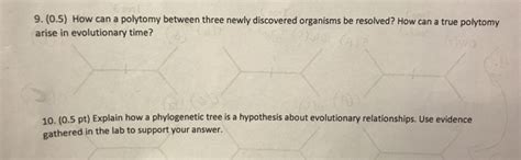 Solved 9 05 How Can A Polytomy Between Three Newly