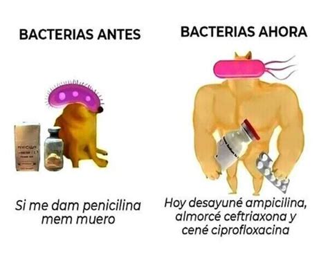 Cuánto Cabrón Las Bacterias Parece Que Digievolucionan Hoy En Día