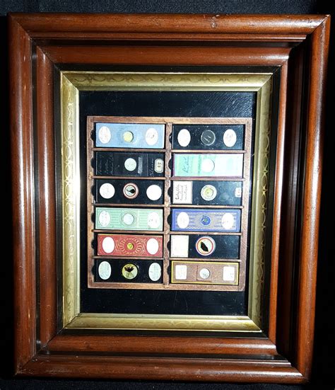 Framed Antique Victorian Microscope Slide Display Delta Example Etsy