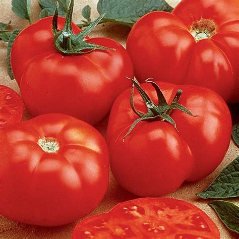 Tomato Beefmaster Hybrid Tomato Jw Jung Seed Company