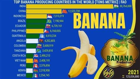 Top Banana Producing Countries In The World
