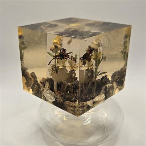 Lucite Cube Etsy