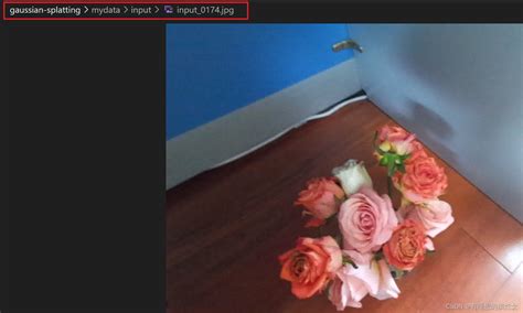 【3dgs】ubuntu系统下完成3d gaussian splatting自采数据集的重建、评估及可视化 3dgs可视化 csdn博客