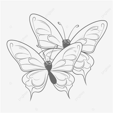 흰색 배경 개요 스케치 드로잉에 두 개의 나비 벡터 현실적인 나비 그리기 현실적인 나비 개요 현실적인 나비 스케치 Png