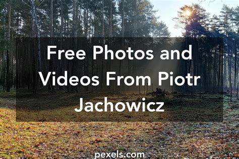 Piotr Jachowicz Photography