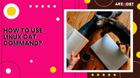 How To Use Linux Cat Command