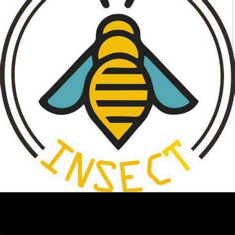 Insect Class Youtube