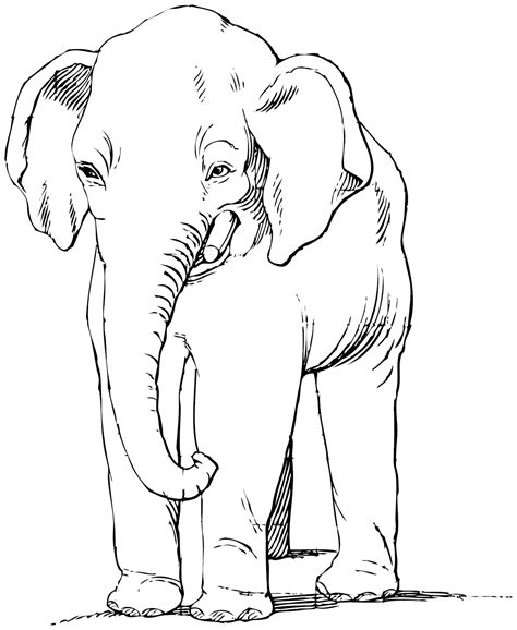 Pitr In Postgresql Using Pgbasebackup And Wal By Dickson Gathima