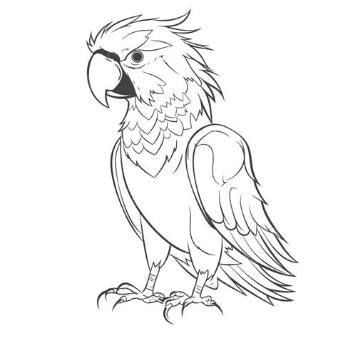 Parrot Outline Drawing