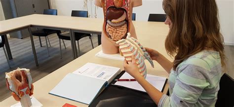 Doktersassistente Deurne Nipa Opleidingen