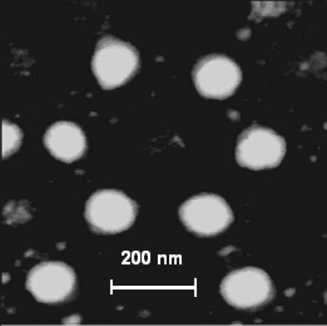 Atomic Force Microscopy Afm Image Of The Hexagonal Array Of Submicron
