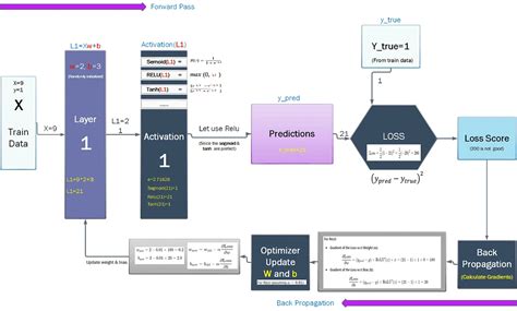 Building A Multi Class Classification Model With Pytorch A Step By