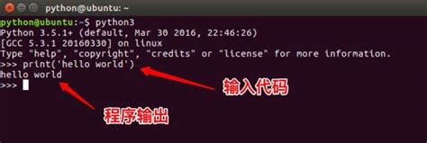 Python程序编写好怎样运行python写的程序怎么运行 Csdn博客