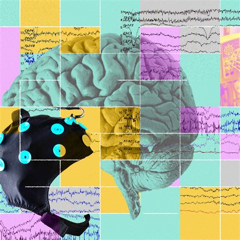 Neuroscience Brain Map