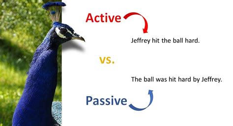 Active Vs Passive Structures