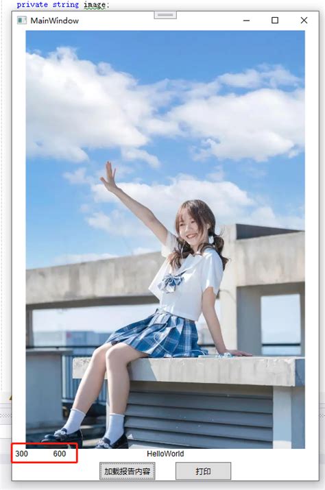 WPF使用XAML实现报表的一种思路支持外部加载 zhaotianff 博客园