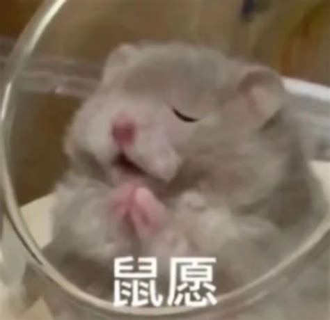 GitHub ParticleLib 一个基于 BukkitAPI 用于 Minecraft Particle 特效的程序库