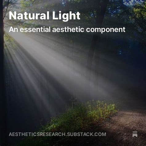 Michael Spicher Phd On Linkedin Light Naturallight Beauty