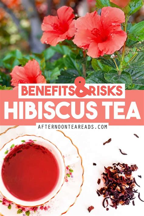 13 Shocking Benefits And Risks From Hibiscus Tea Afternoon Tea Reads