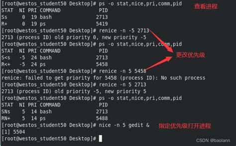 最详细的linux中的进程管理ntools进程 Csdn博客