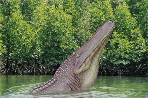 Stomatosuchus Wikipedia