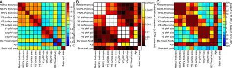 Correlations Between All Measures Taken A Pairwise Spearmans