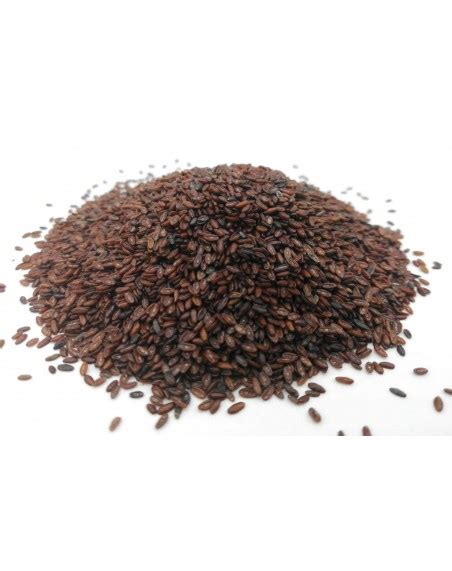 Graines De Psyllium