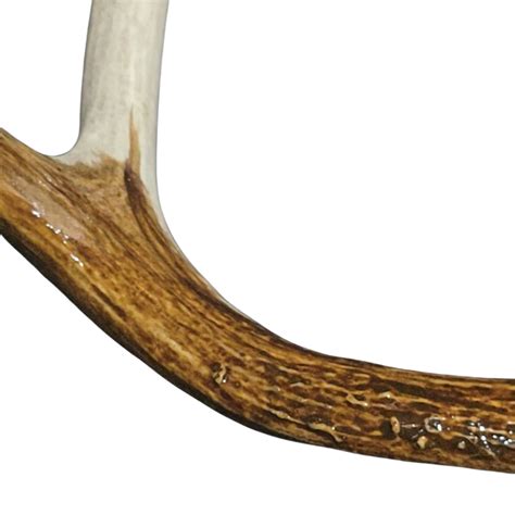 Vat Antler Stain Velvet Antler Technologies
