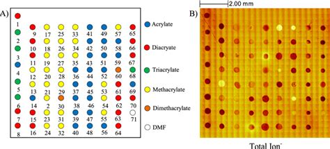 a schematic illustration of the microarray layout identifying polymer