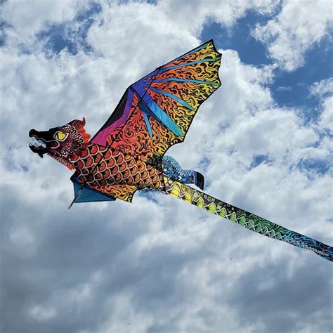 Dragon Kites Kitty Hawk Kites