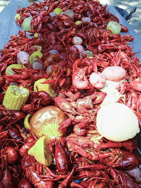 Boiled Louisiana Crawfish Or Crayfish Stock Image Image Of Black