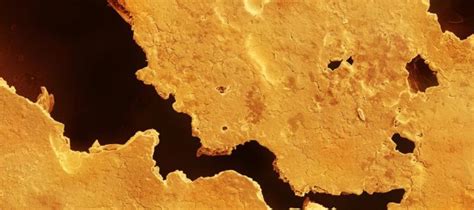 Food Under The Microscope 19 Pics