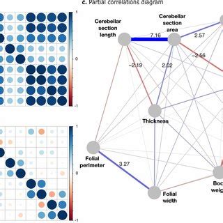 Correlation Structure A Correlation Matrix Among All Phenotypes B Download Scientific