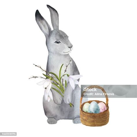 바구니에 꽃다발과 색색의 달걀이 있는 귀여운 부활절 토끼의 수채화 그림 0명에 대한 스톡 벡터 아트 및 기타 이미지 0명 갈란투스 공휴일 Istock
