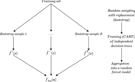 flowchart describing the random forest rf and guided