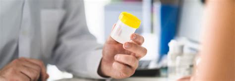 Comprehensive Digestive Stool Analysis By Seebeyond Test