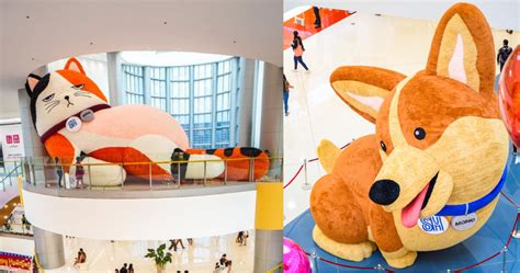 Sm Mall Of Asia Unveils Mimi And Momo A Grumpy Cat And A Happy Dog