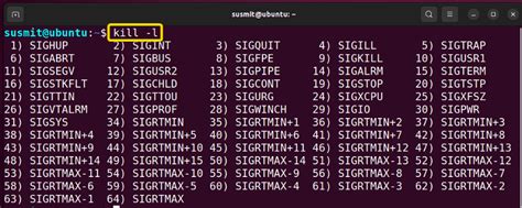 The Kill Command In Linux Practical Examples