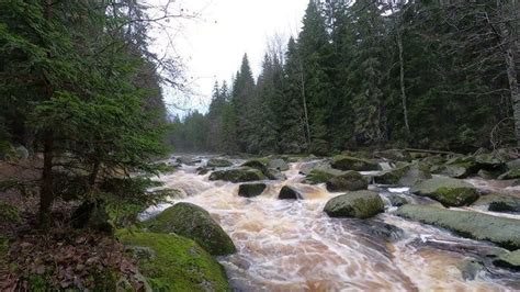 Heart Like A River By Daniyal Rana Mar 2025 Medium