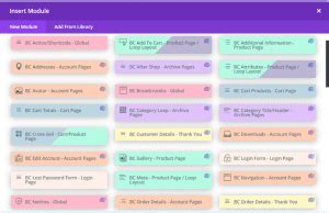 Divi Plugin Highlight Divi BodyCommerce