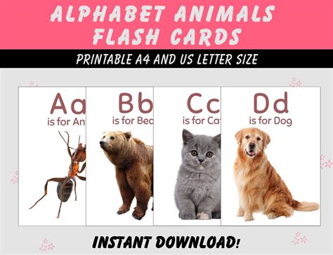 Printable Animal Alphabet Flashcards Preschool Alphabet Flash Etsy