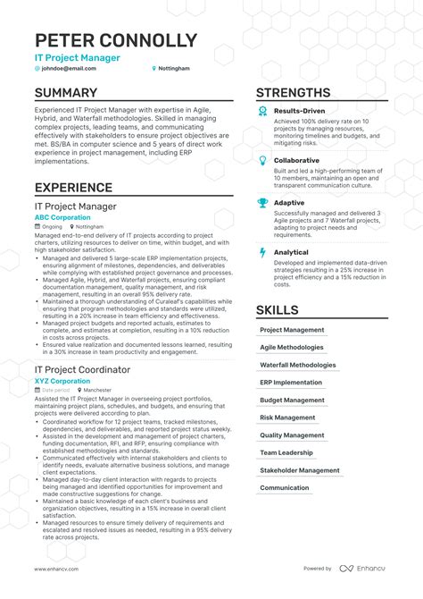 3 IT Project Manager CV Examples For 2023