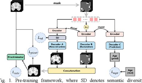 Figure 1 From Multi Task Collaborative Pre Training And Individual Adaptive Tokens Fine Tuning
